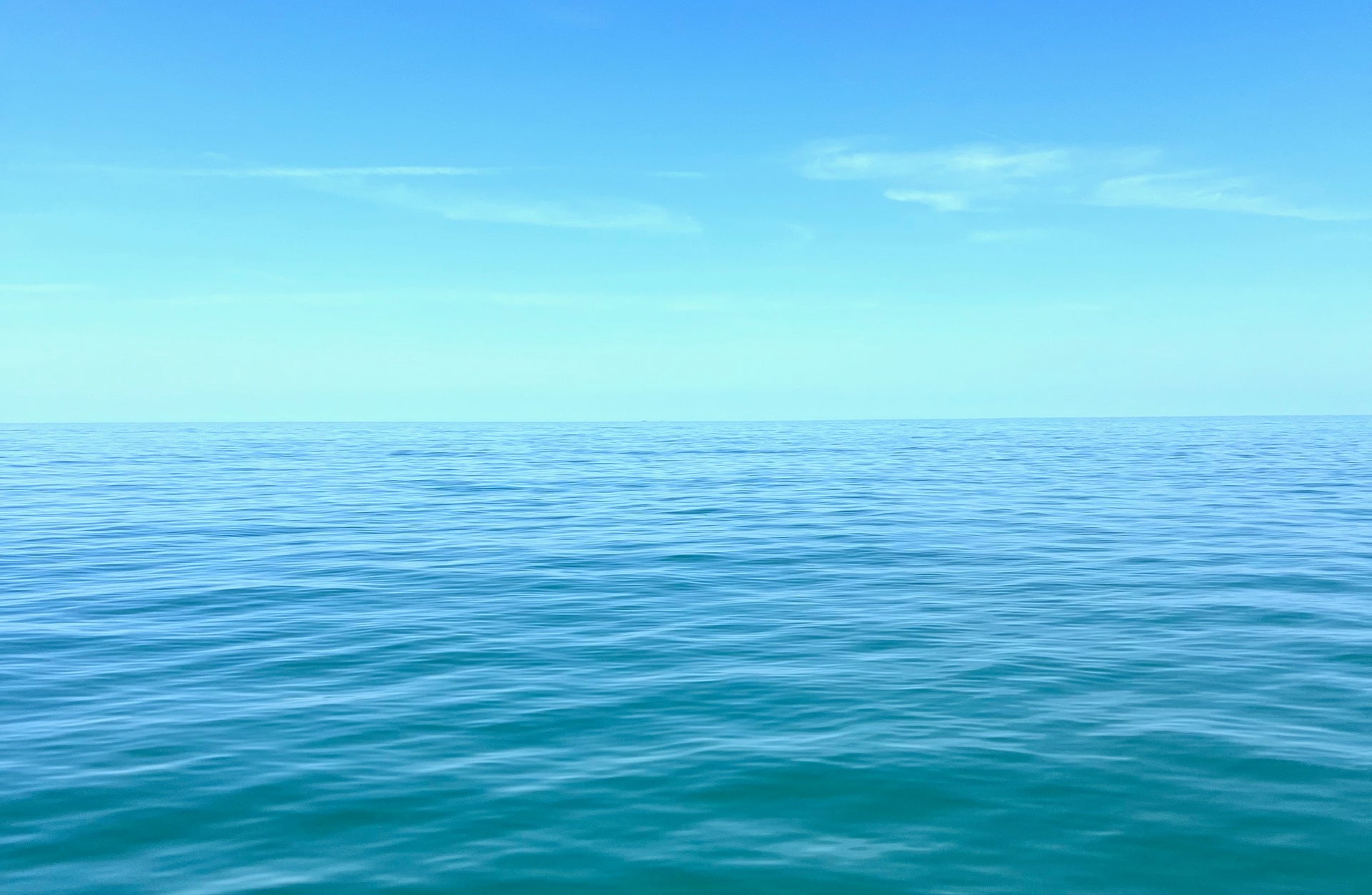 Sigrid Olsen Artisan Crafted Resortwear – SIGRID OLSEN